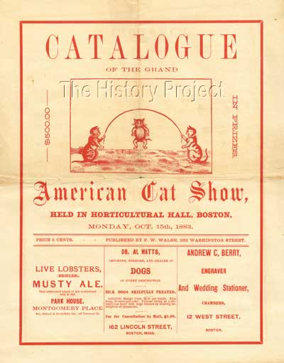 The History Project: The Grand American Cat Show, 1883