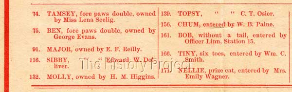 The History Project: The Grand American Cat Show, 1883