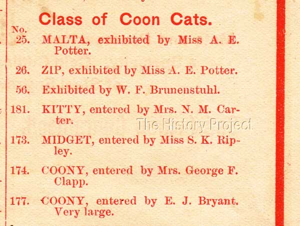 The History Project: The Grand American Cat Show, 1883