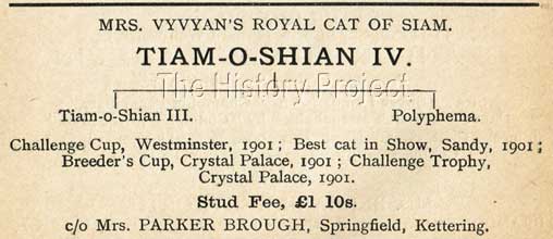 The History Project: Tiam O'Shian IV