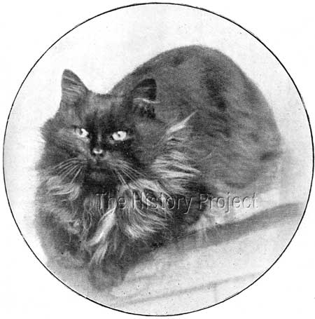 The History Project: Ashtaroth of Haddo