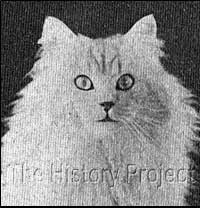 The History Project: Lady Vere de Vere