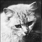 The History Project: Lady Vere de Vere