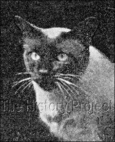 The History Project: Tiam O'Shian IV