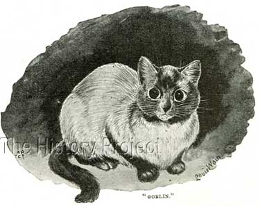 The History Project: Tiam O'Shian IV