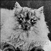 The History Project: Lady Vere de Vere