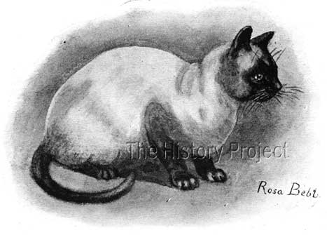 The History Project: Tiam O'Shian IV