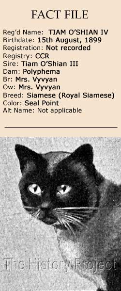 The History Project: Tiam O'Shian IV